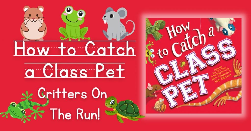How to Catch a Class Pet - Critters On The Run! | TBH