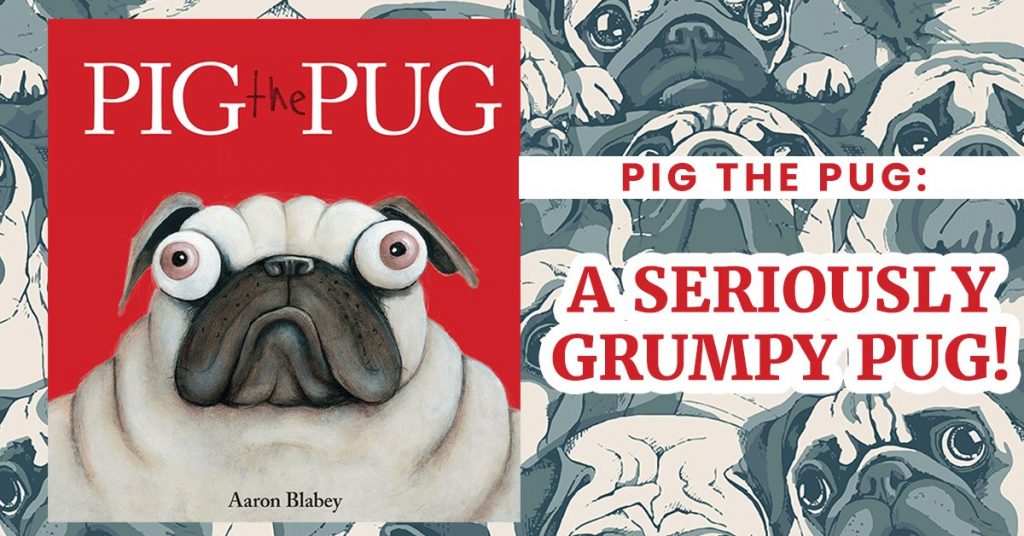 Pig the Pug: A Seriously Grumpy Pug!