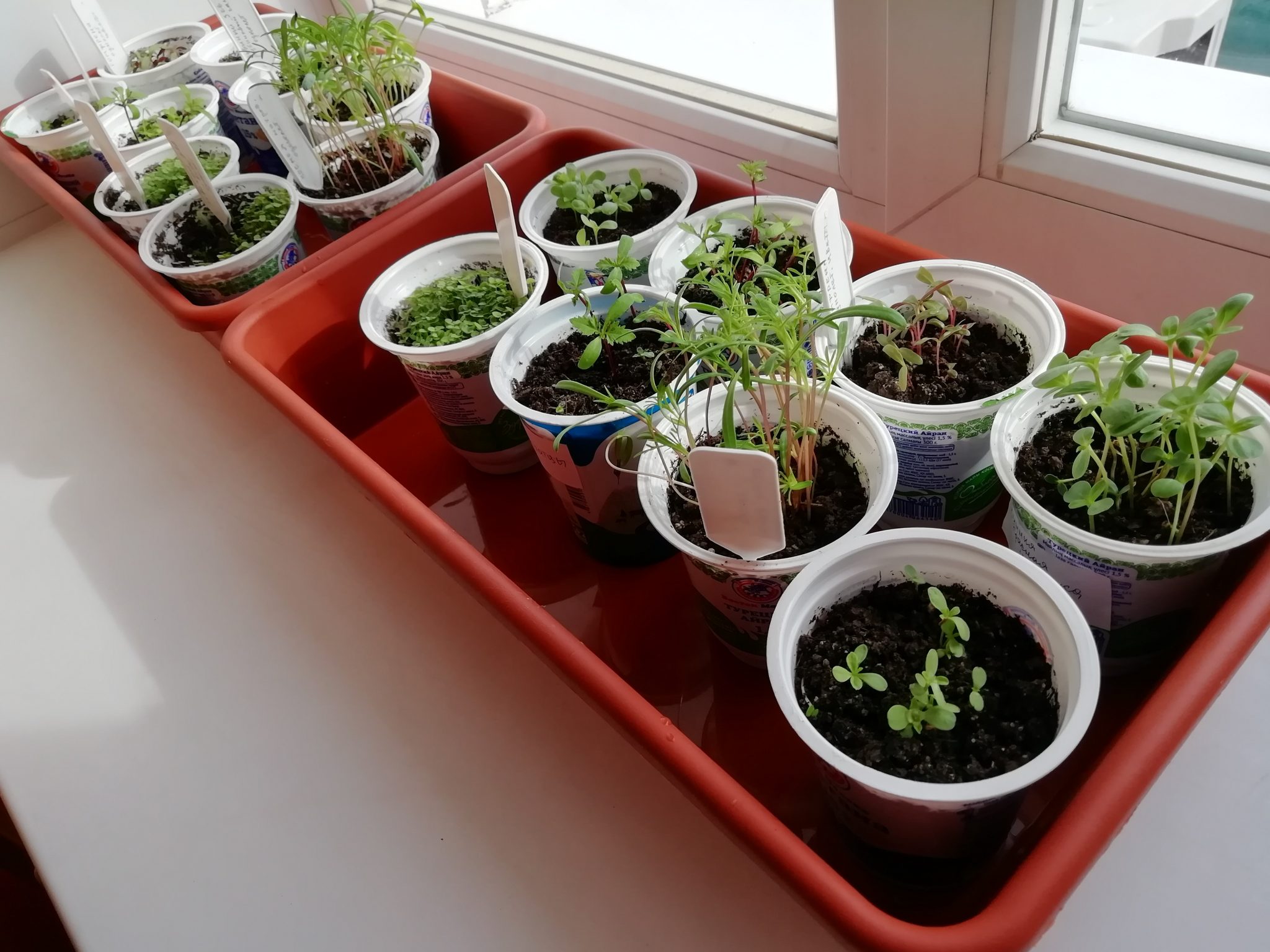 40 Creative Rainy Day Activities for Kids | TinyBrilliantHumans