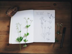 Gardening Activities For Kids: 30 Ideas For Green-Fingered Fun