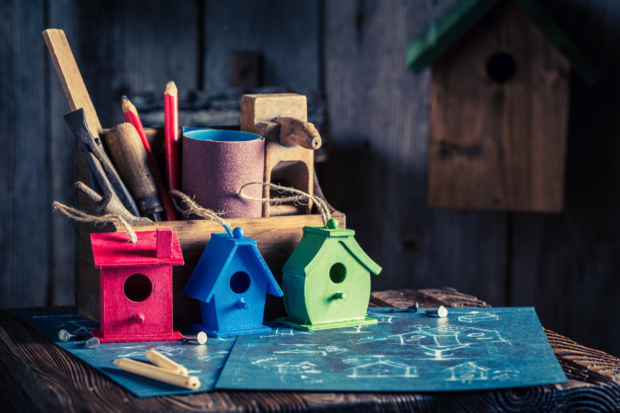 Gardening Activities For Kids: 30 Ideas For Green-Fingered Fun